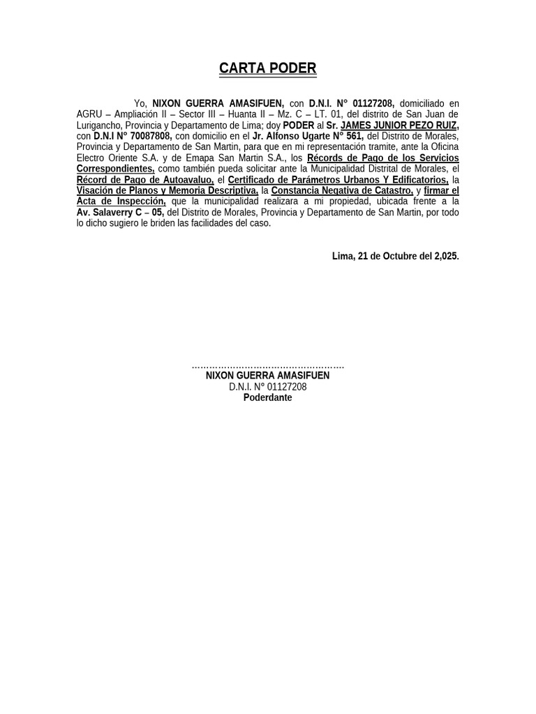 Carta Poder para Trámites Municipales | PDF