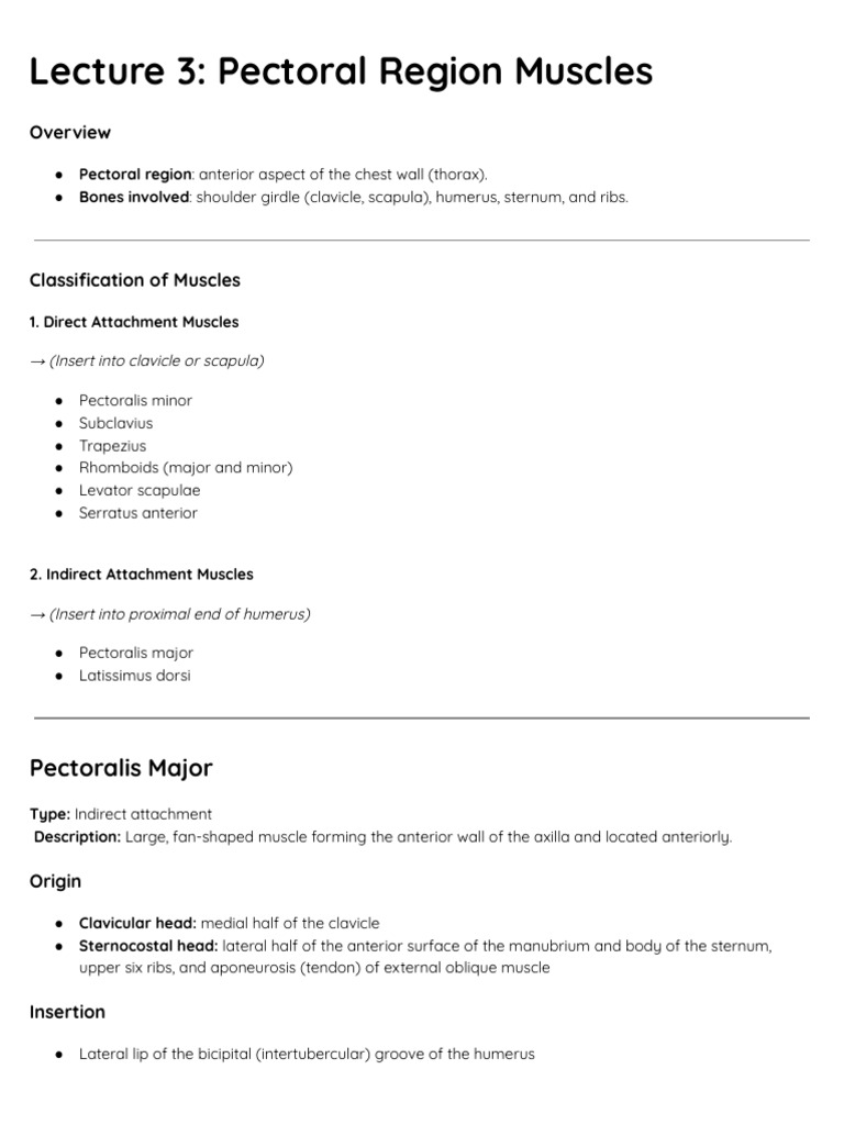 Pectoral Region Muscles Overview | PDF | Vertebra | Limbs (Anatomy)