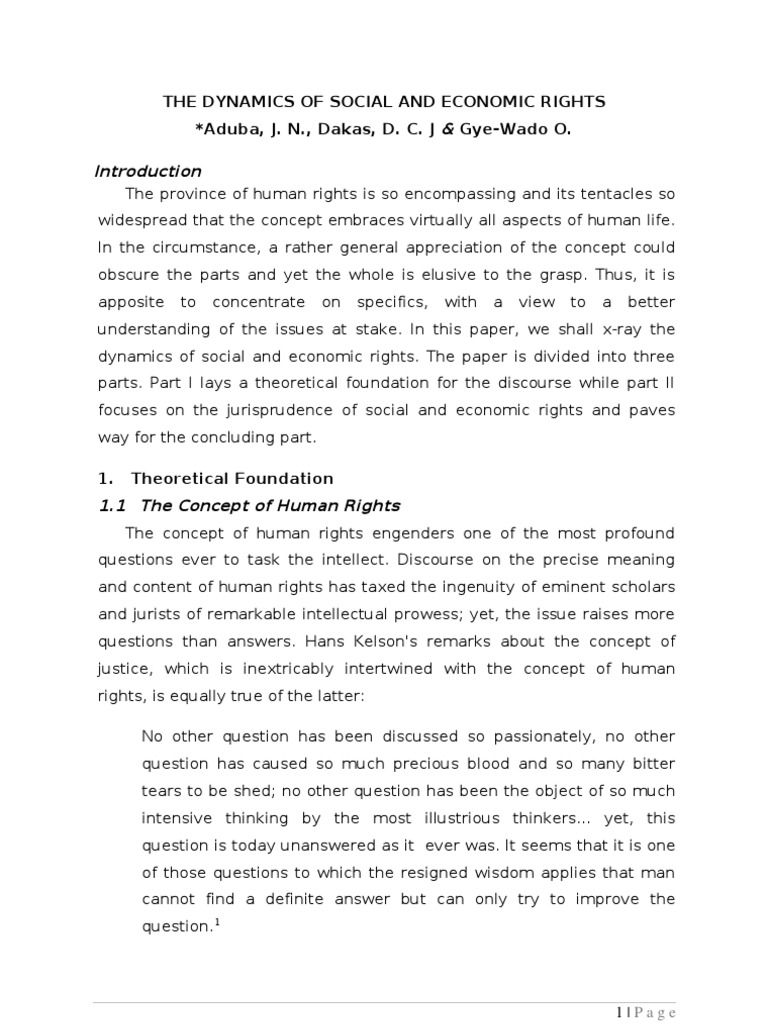 15 The Dynamics of Social and Economic Rights | PDF | Human Rights | Rights
