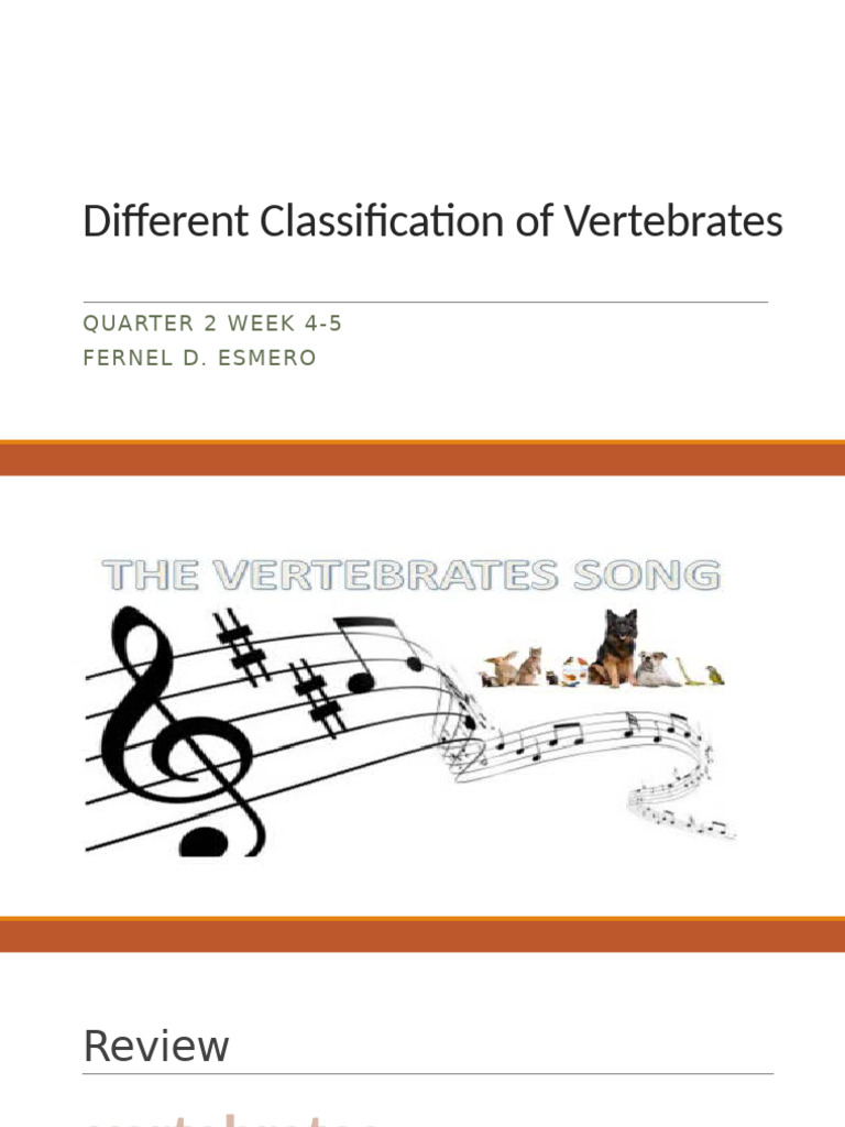 Classification of Vertebrates Explained | PDF