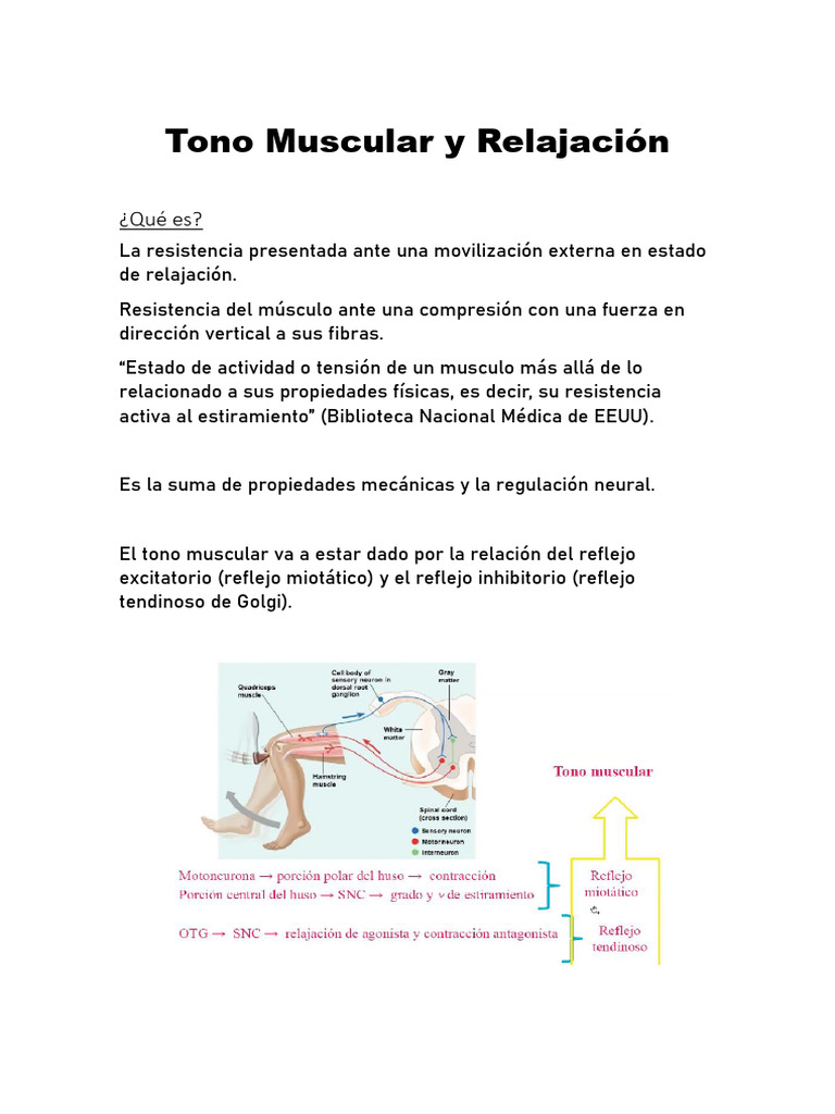 Tono Muscular y Relajación | PDF | Músculo | Las emociones