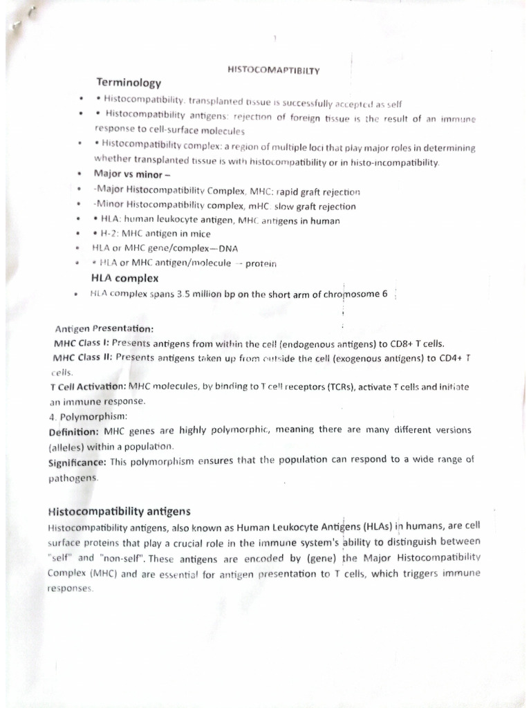 MCB 303 3rd Part Histocompatibility | PDF