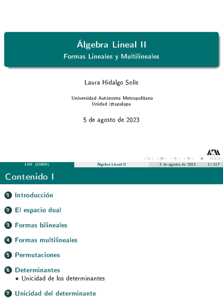 Formas Lineales en Álgebra Lineal II | PDF | Mapa lineal | Determinante