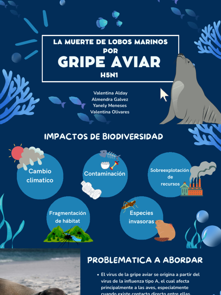 Gripe Aviar Oficial | PDF | Influenza | Virus de la Influenza A Subtipo ...