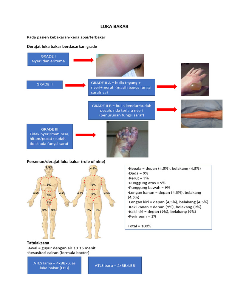 Tatalaksana Luka Bakar dan Trauma Inhalasi | PDF