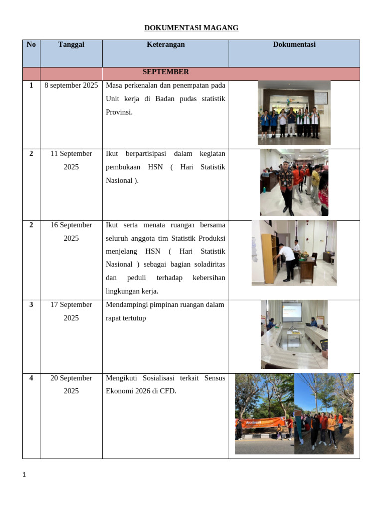 Dokumentasi Magang Statistik 2025 | PDF