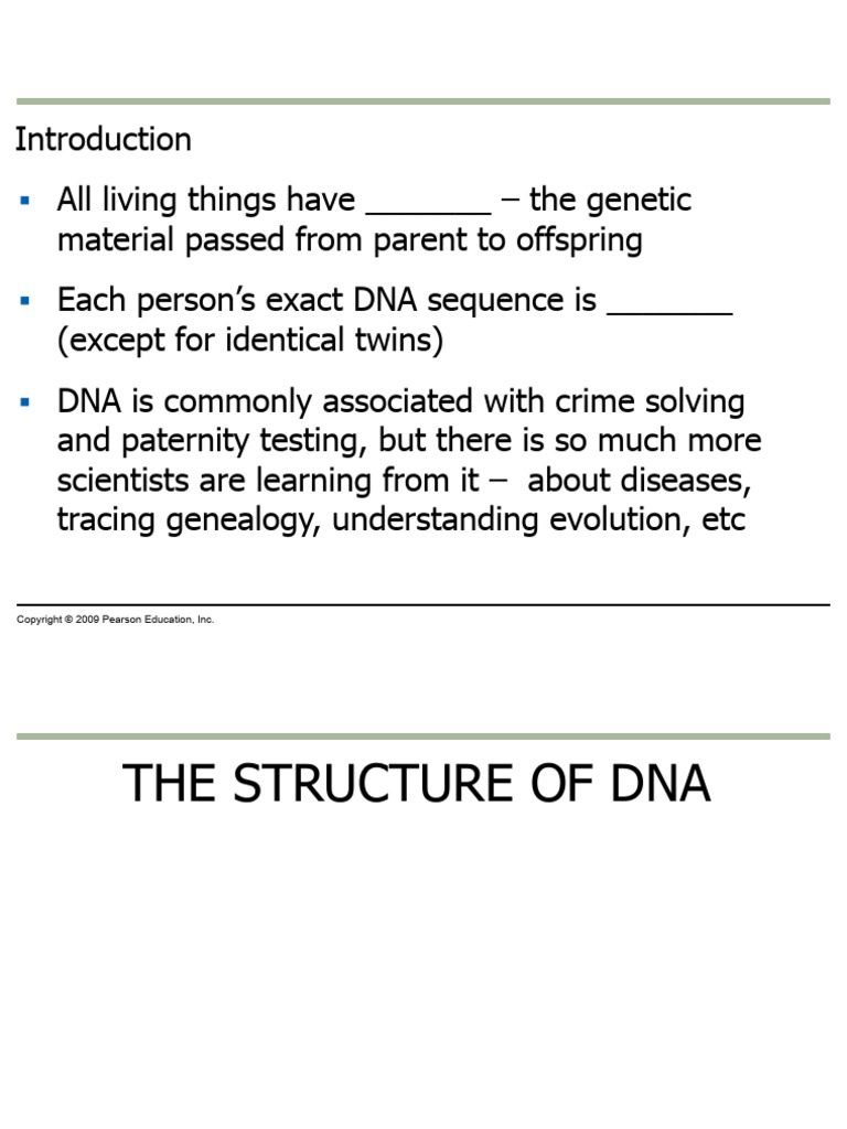 Understanding Dna Structure And Replication Pdf Dna Dna Replication