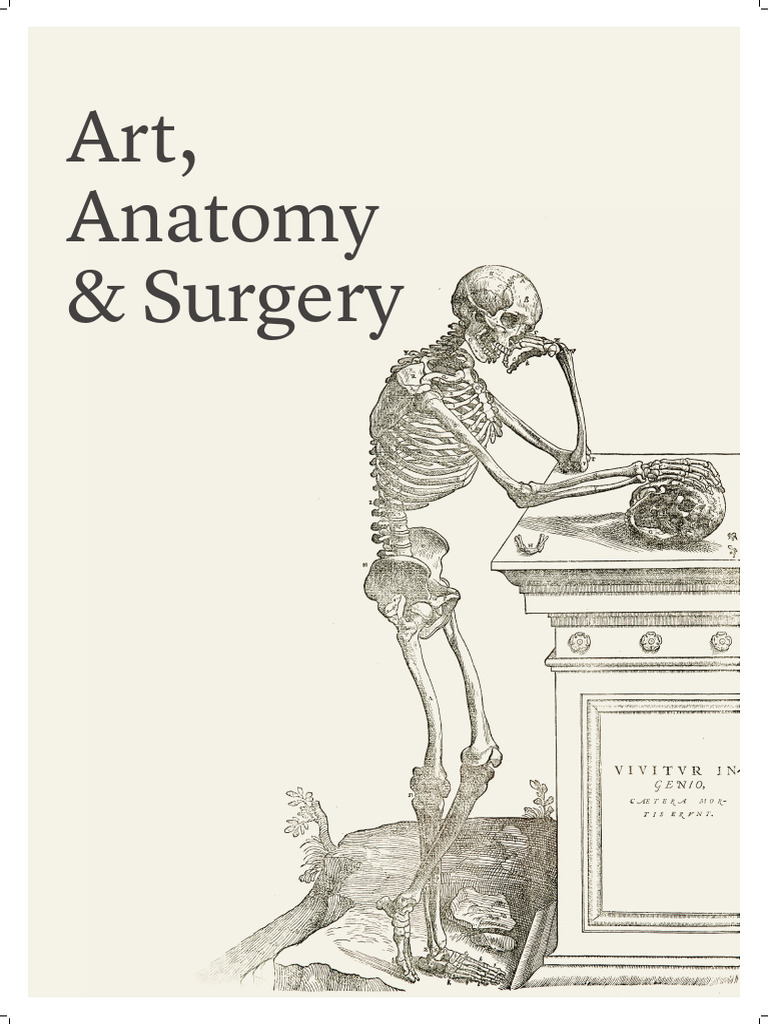 Renaissance Anatomy: Art and Dissection | PDF