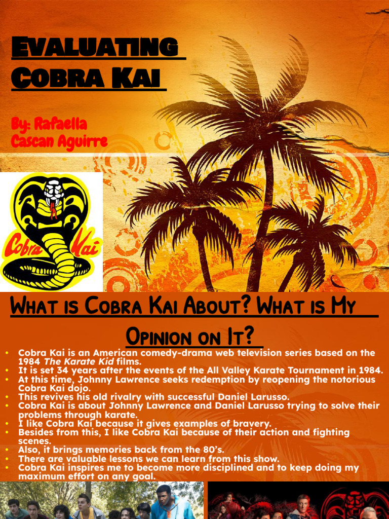 Evaluating Cobra Kai | PDF