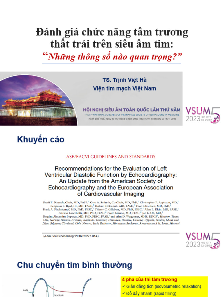 Danh Gia Chuc Nang Tam Truong That Trai Tren Sieu Am Tim TS. Trịnh Việt ...