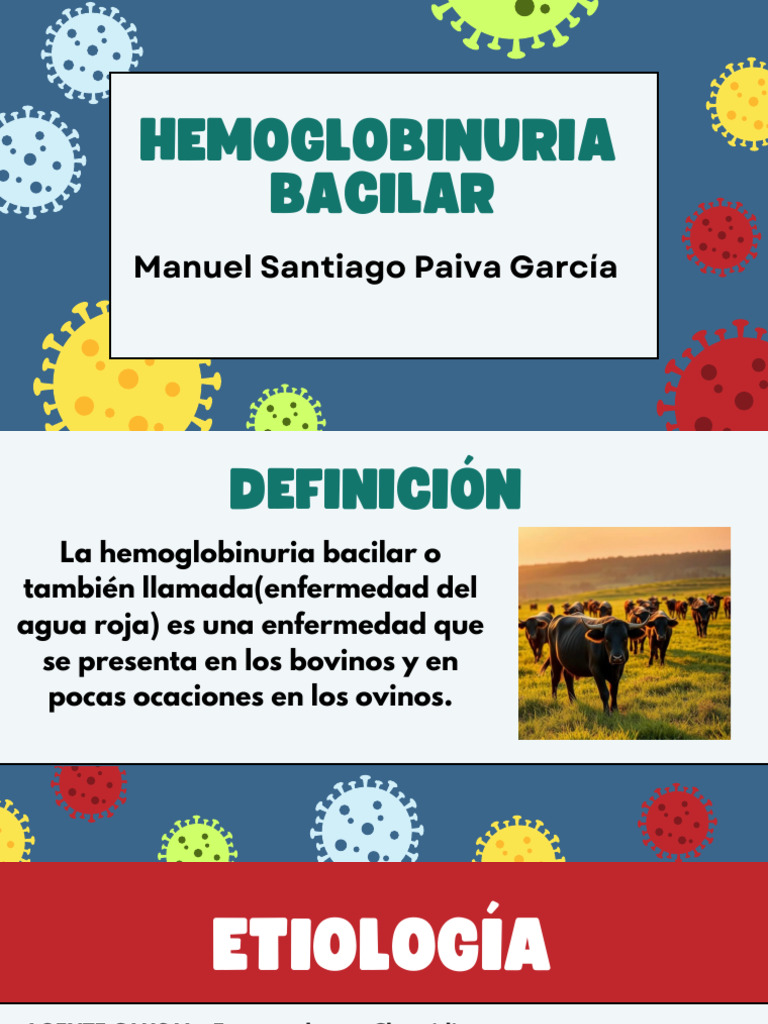 Hemoglobinuria Bacilar | PDF | Las bacterias | Anemia