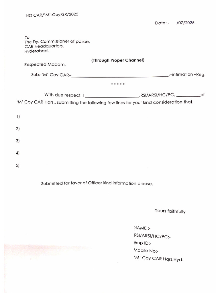 SR Verification Correction Format | PDF