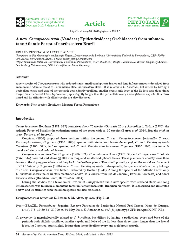 A New Campylocentrum (Vandeae Epidendroideae Orchidaceae) From Submon ...