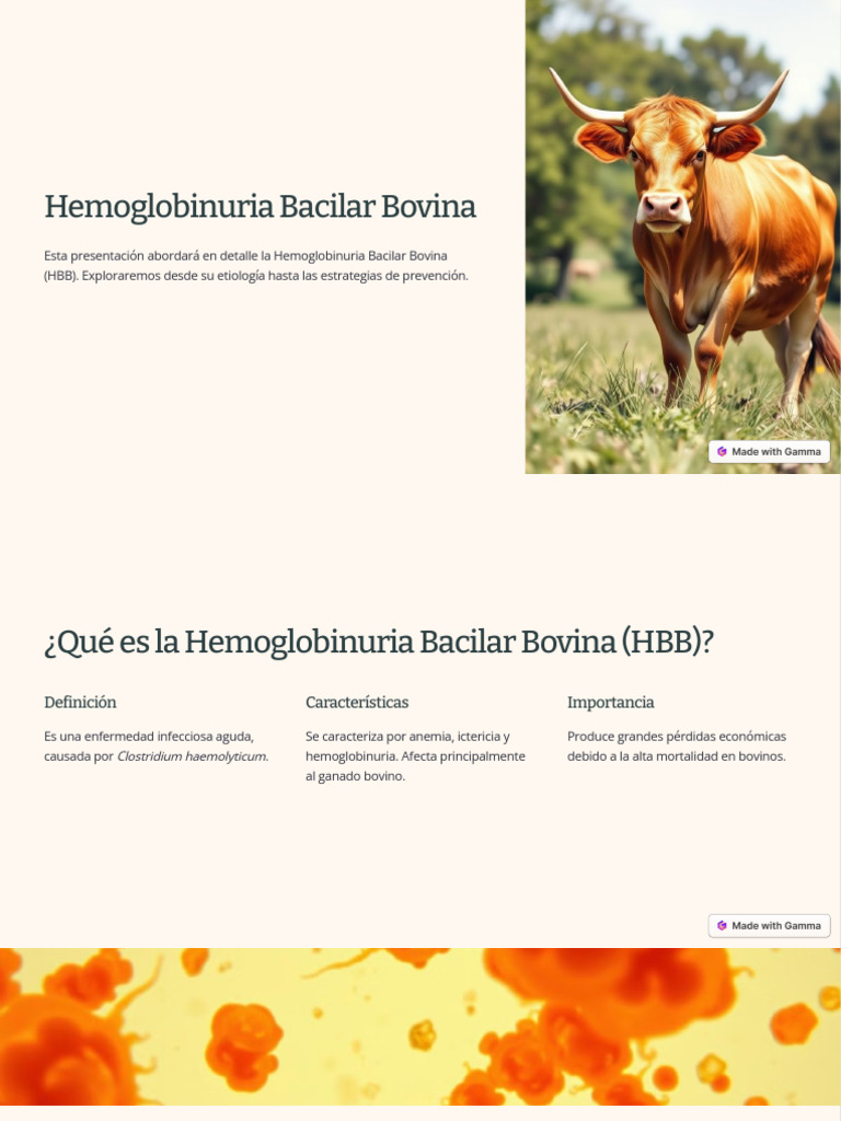 Hemoglobinuria Bacilar Bovina: Guía Completa | PDF | Anemia ...