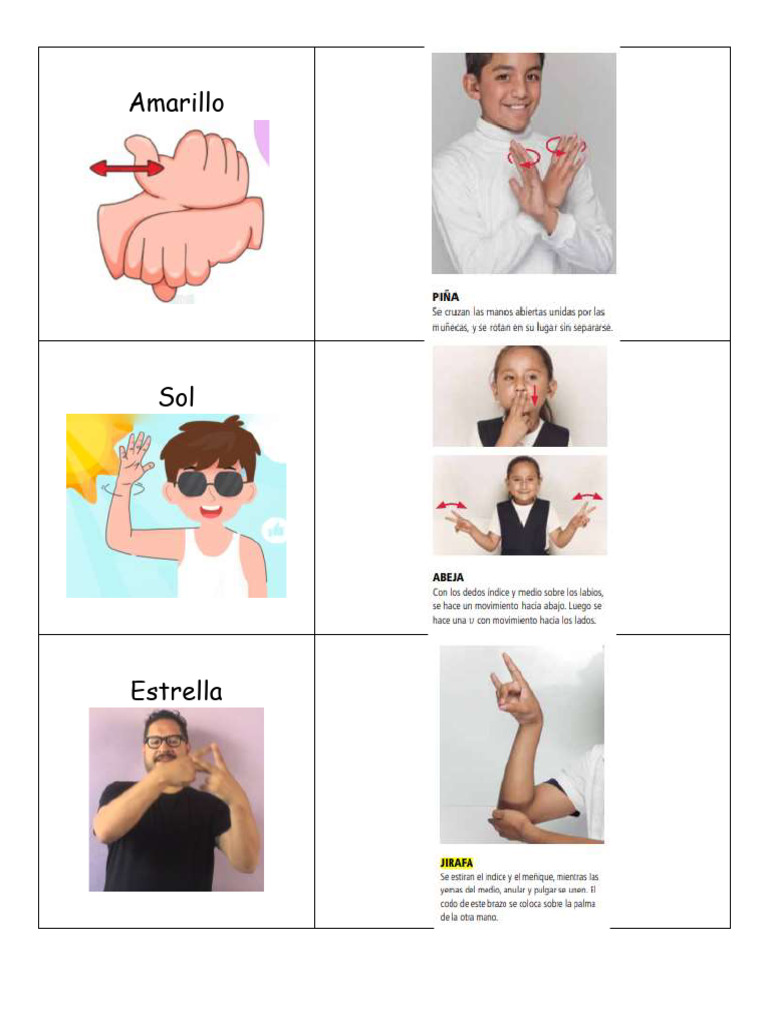 Vocabulario Libro de Colores LSM | PDF