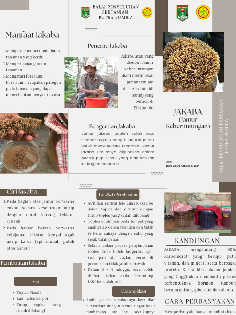 Manfaat dan Cara Budidaya Jamur Jakaba | PDF