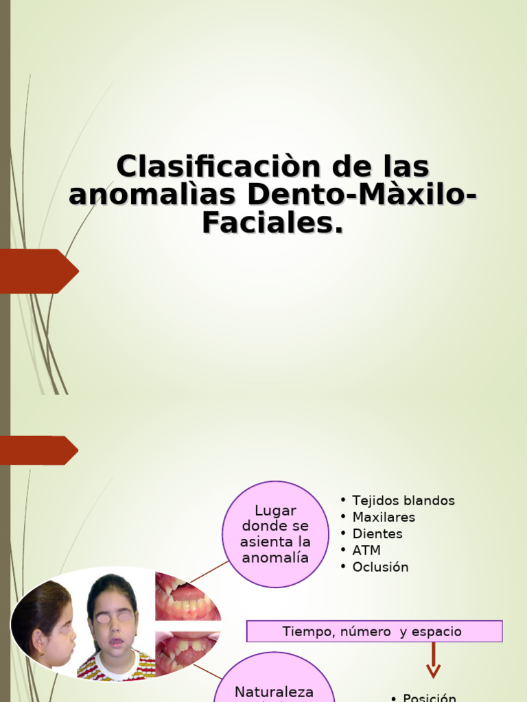 Conferencia Elaine | PDF | Ortodoncia | Especialidades Medicas
