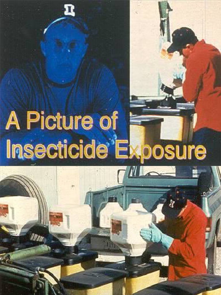 A Picture of Insecticide Exposure | PDF