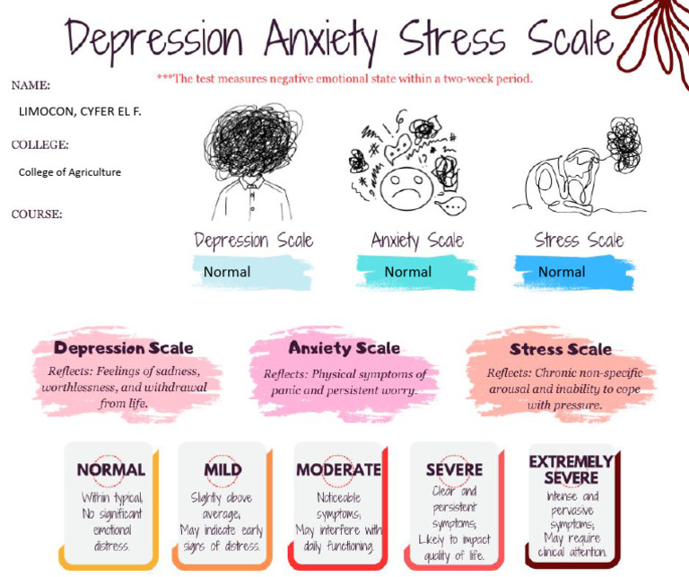 Depression Anxiety Stress Scale | PDF