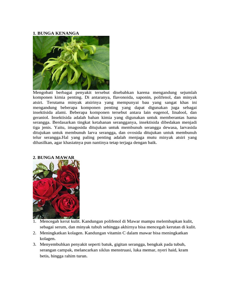 Manfaat Kesehatan Berbagai Bunga Herbal | PDF