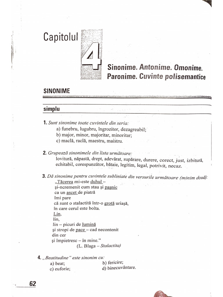 Relatii Semantice-Cl 10 | PDF