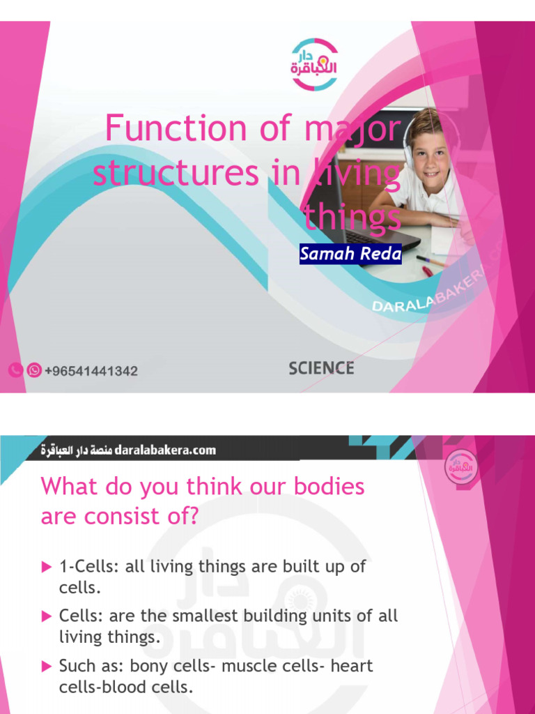 Major Structures in Living Organisms | PDF