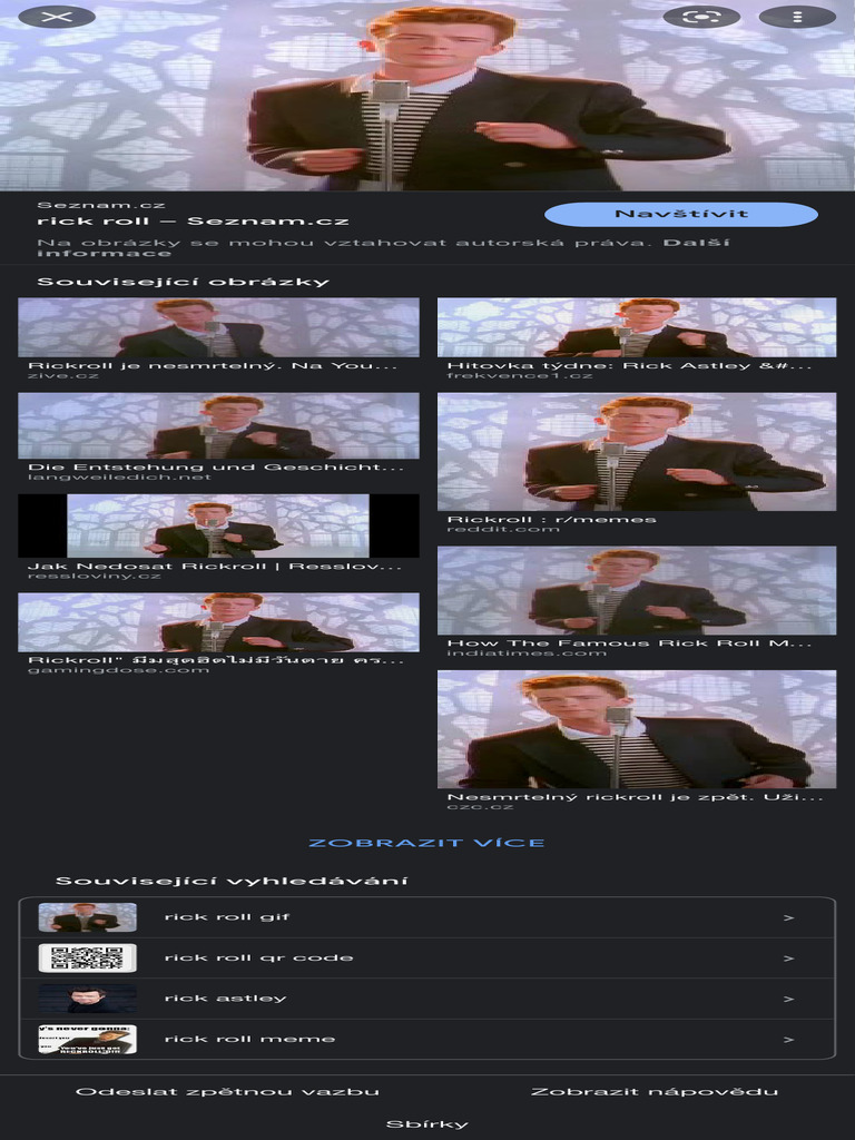 Rickroll - Vyhledávání Google | PDF