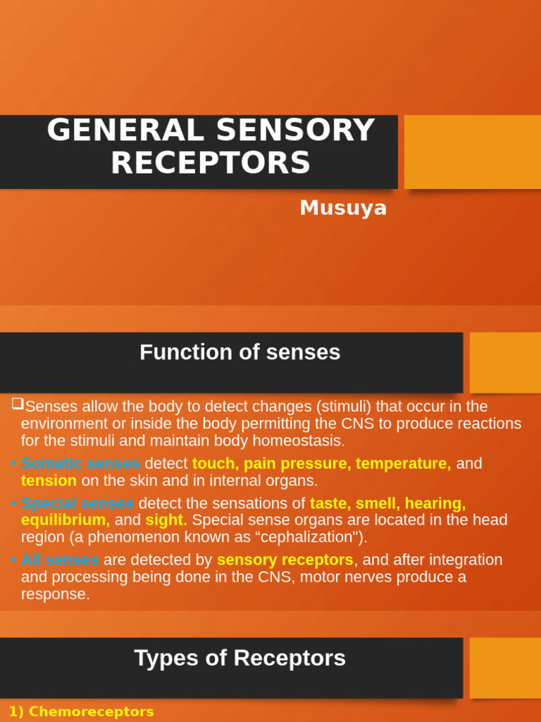 General Sensory Receptors | PDF | Senses | Somatosensory System