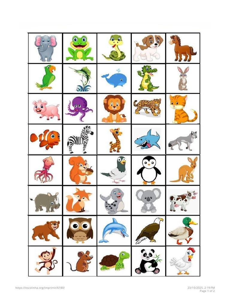Safari PDF | PDF