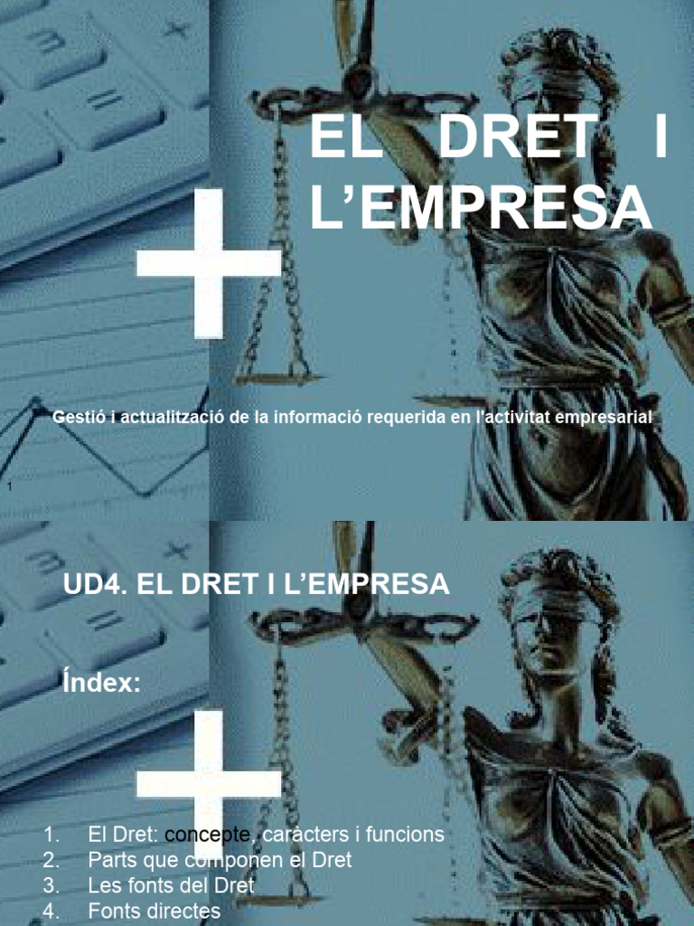 BLOC 4 El Dret I Lempresa | PDF