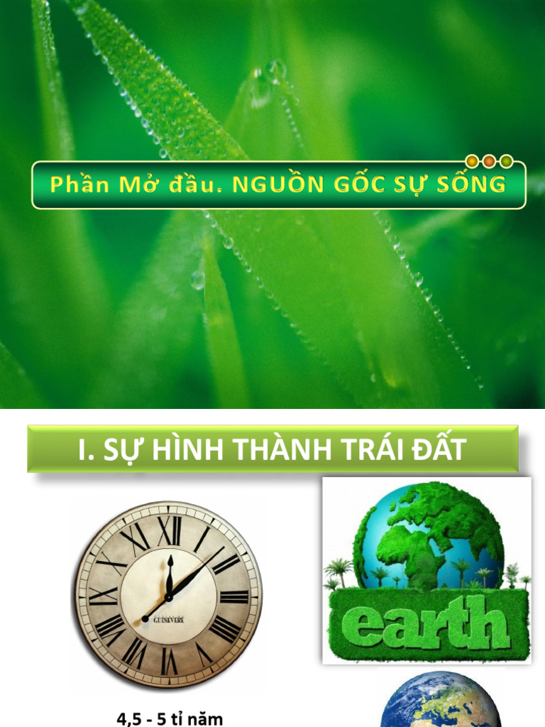 1.1. Phan Mo Dau. Su Song Va Su Phat Sinh | PDF