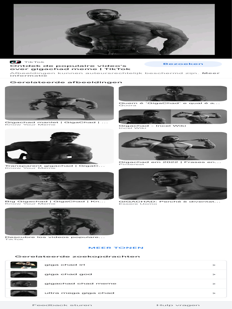 Gigachad - Google Zoeken | PDF