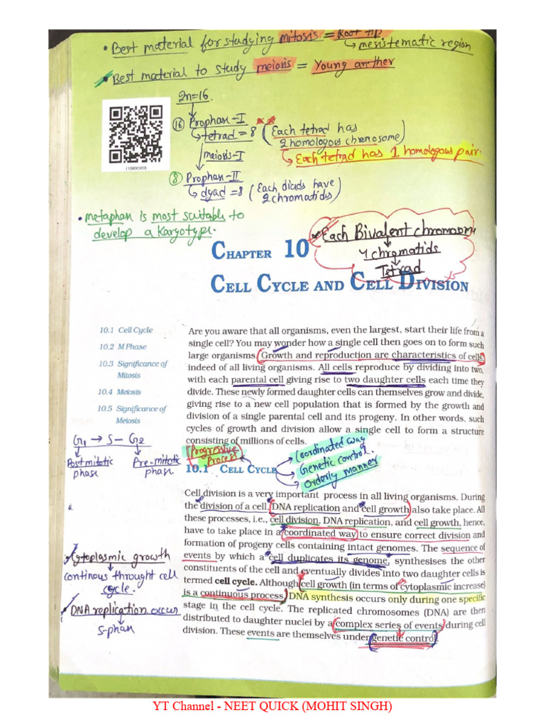 Cell Cycle and Cell Devision NCERT HIGHLIGHTS - Watermark 2 | PDF