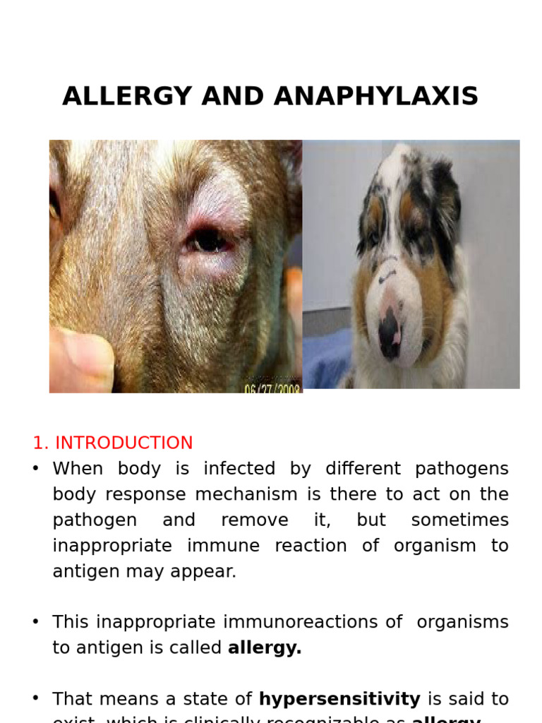 Understanding Allergy and Anaphylaxis | PDF | Allergy | Immunology