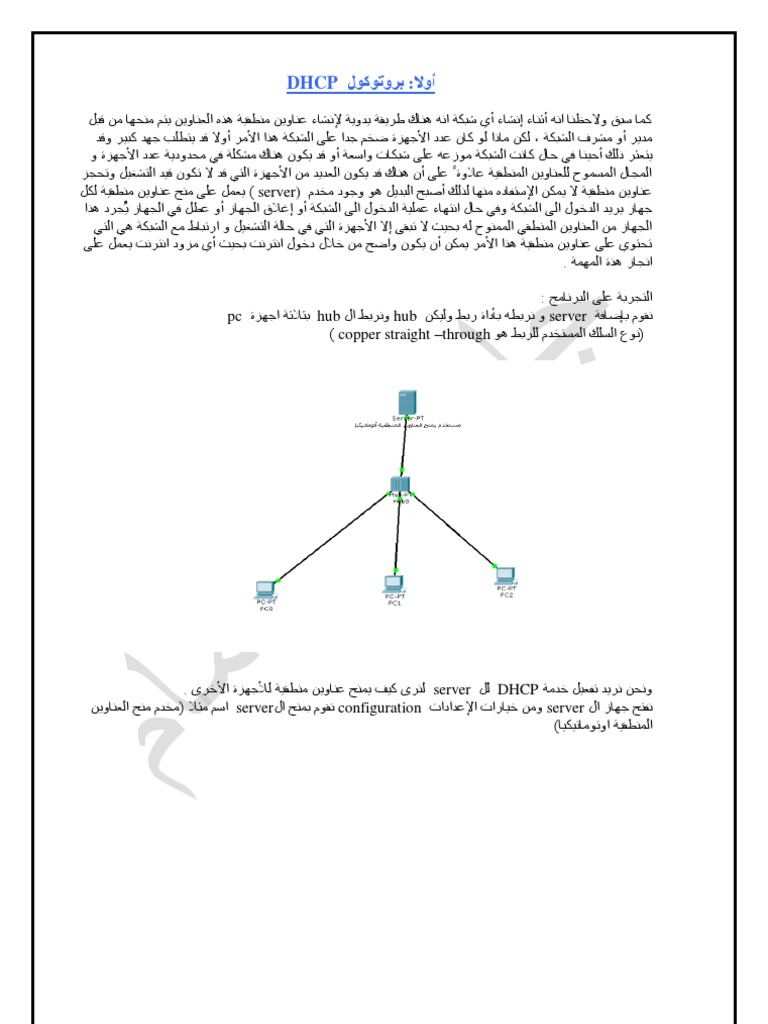 Cisco Packet Tracer Lab8 | PDF