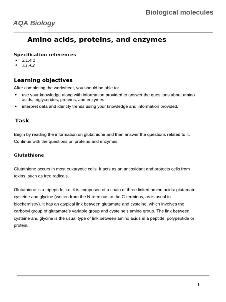 Amino Acids, Enzymes, Proteins Sheet | PDF | Amino Acid | Proteins