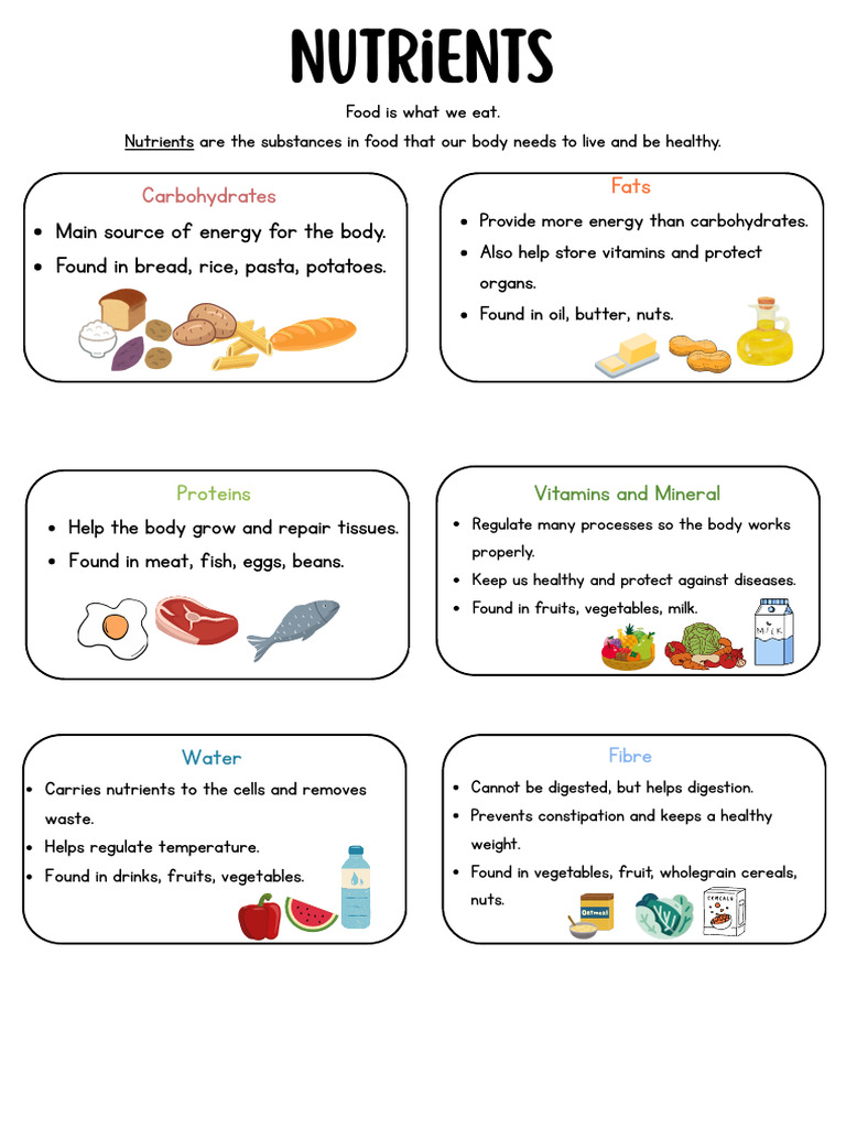 Nutrientes Esenciales para la Salud | PDF | Alimentos | Fruta