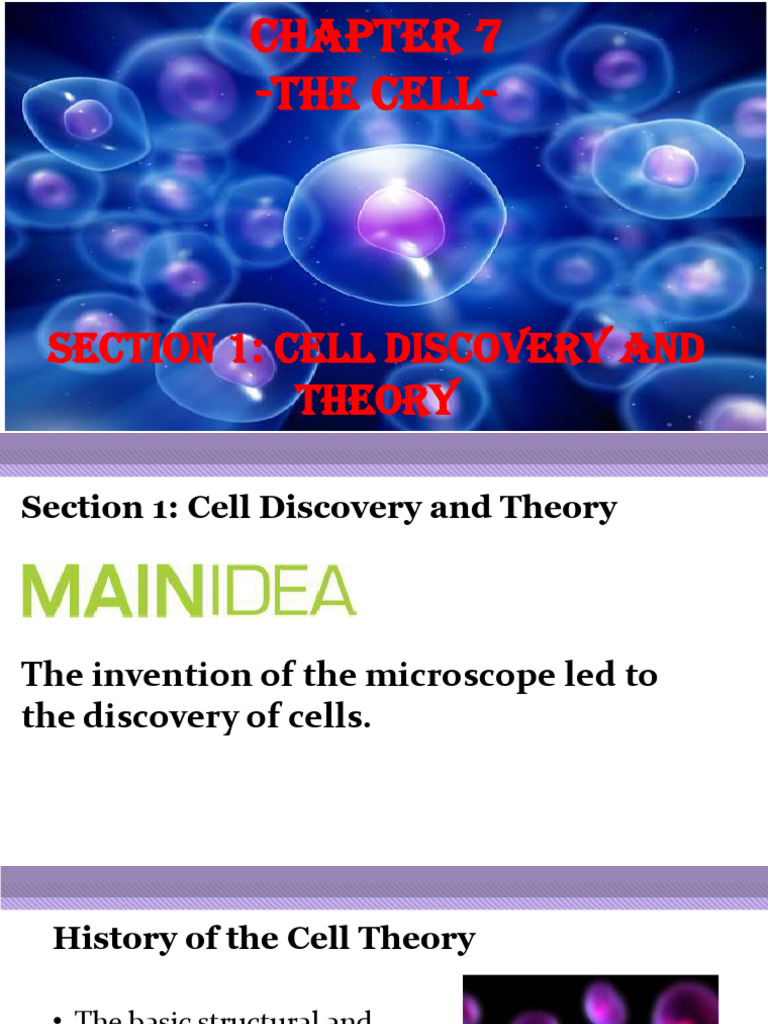 Cell Discovery and Theory Overview | PDF | Microscope | Cell (Biology)