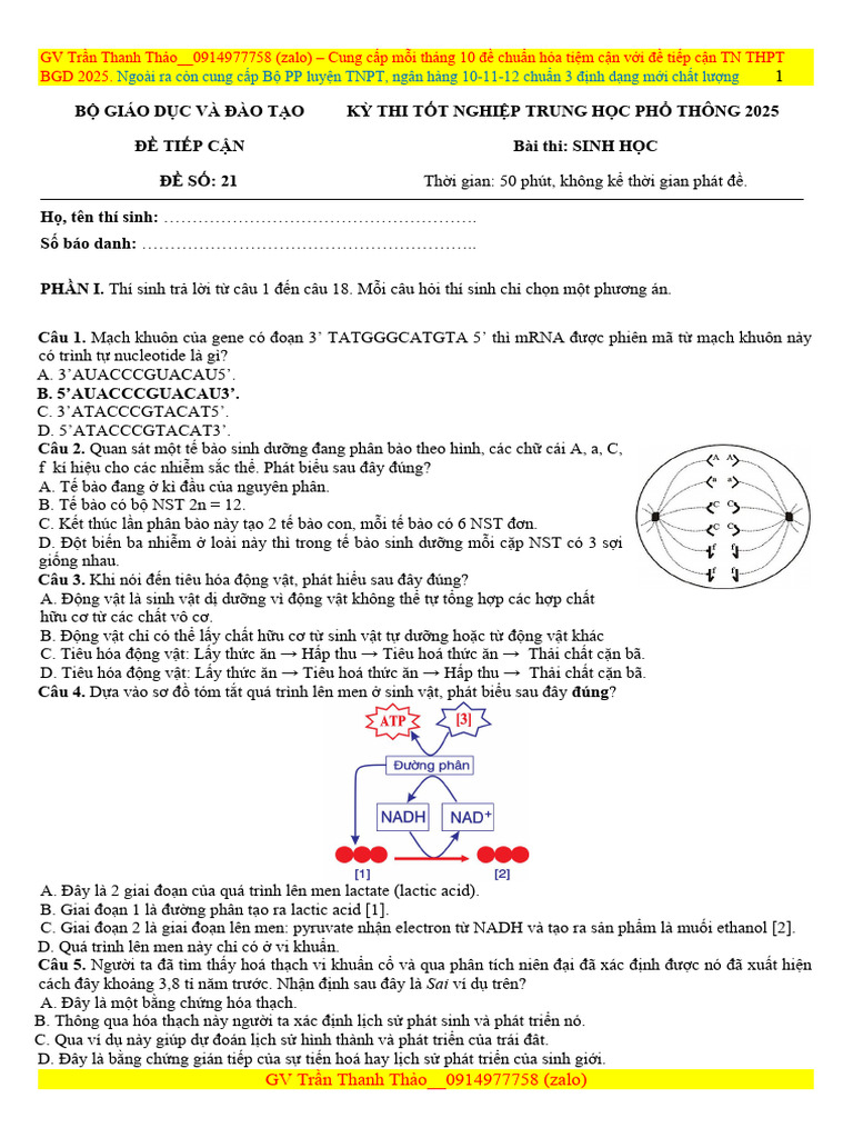 Đề 21 - - đề Tiếp Cận Kỳ Thi Tn Thpt 2025 | PDF