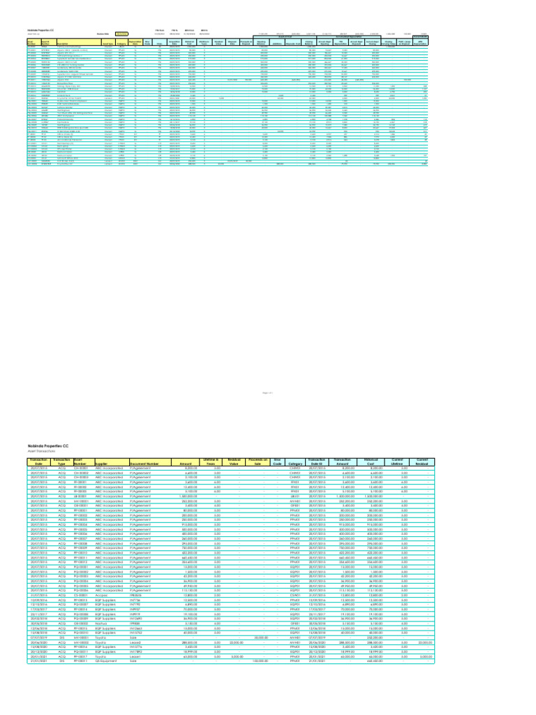 Nobinda Properties Asset Overview | PDF | Depreciation | Book Value