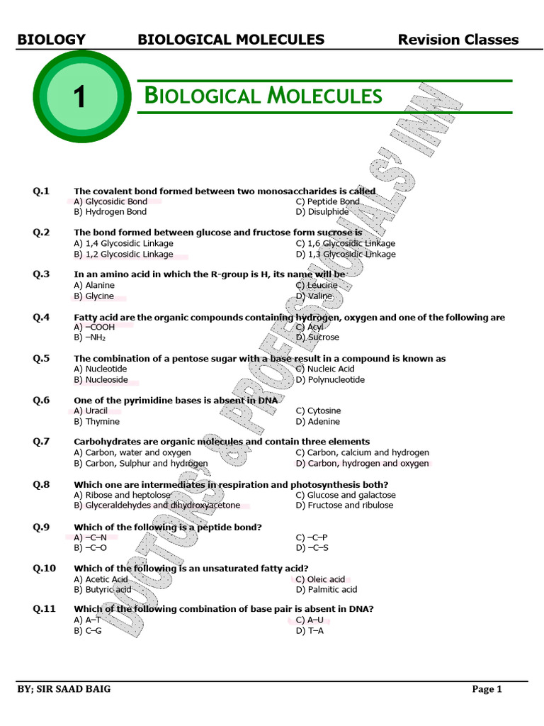 Revision Classes - BIOLOGICAL MOLECULE | PDF | Carbohydrates | Biomolecules