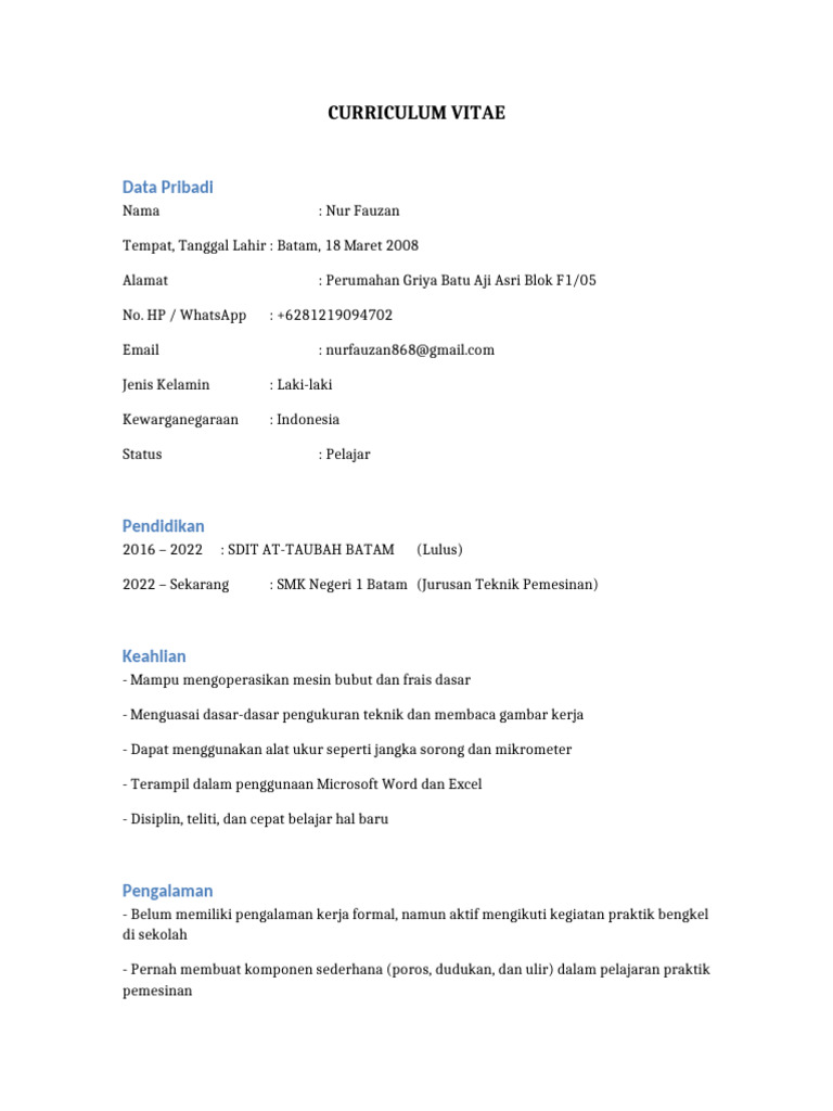 CV PKL Nur Fauzan | PDF