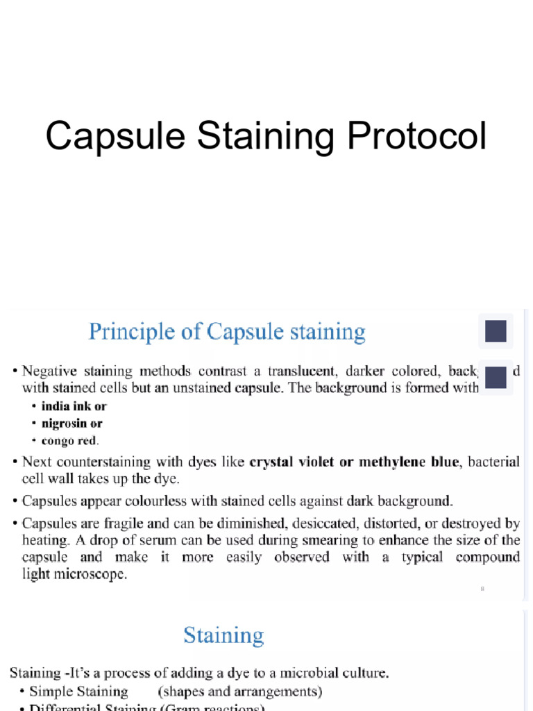 Capsule Staining Protocol | PDF