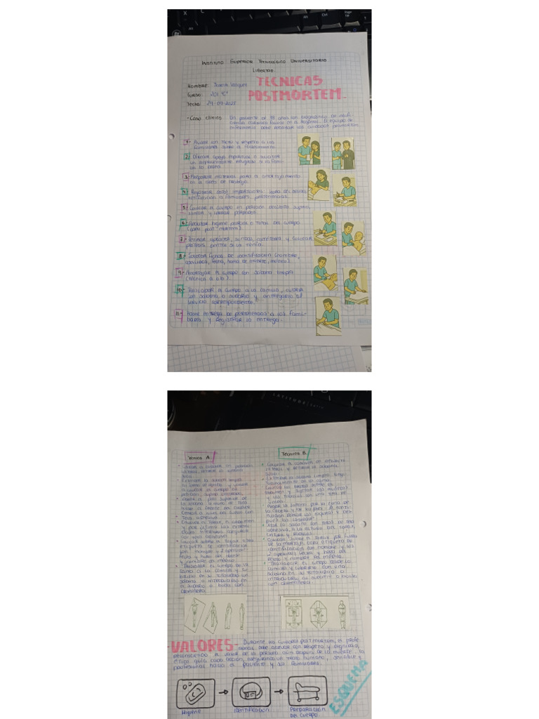 Técnica Postmortem | PDF
