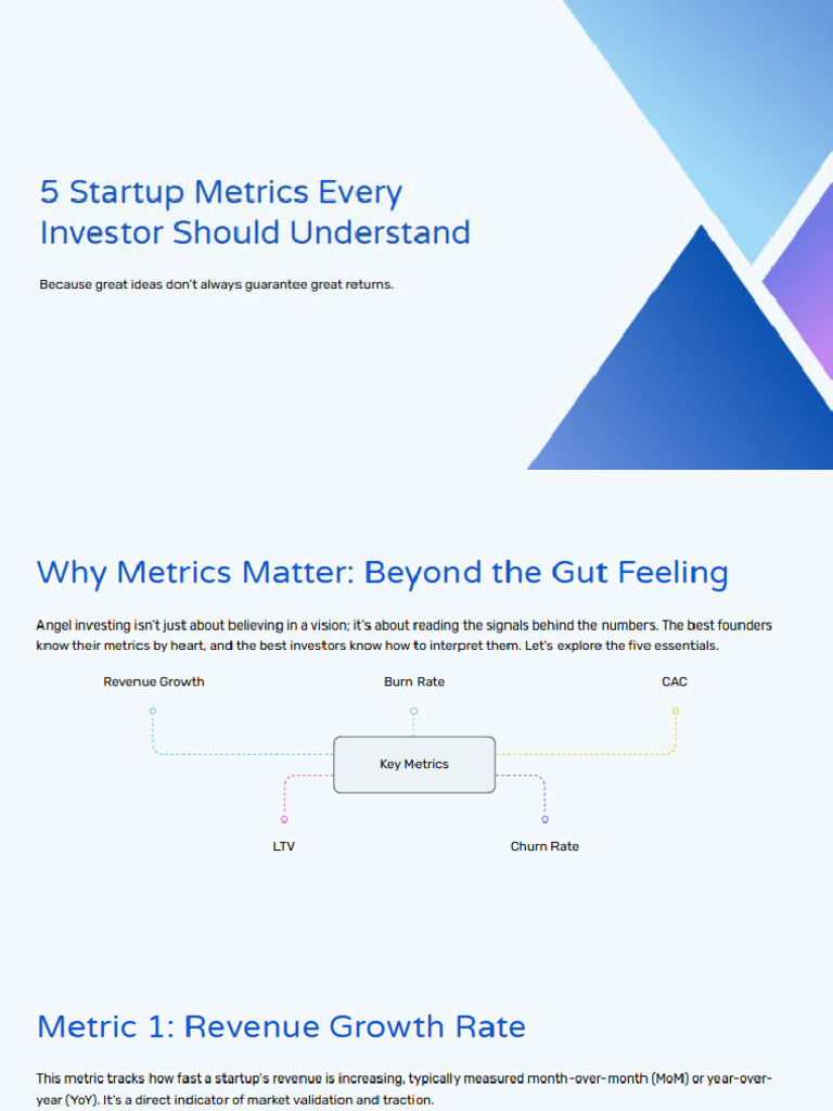 5 Start Up Metrics Every Investor Should Know | PDF