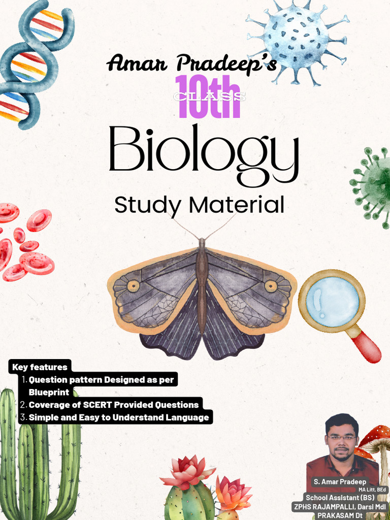 10th Grade Biology Study Guide | PDF | Circulatory System | Blood Pressure