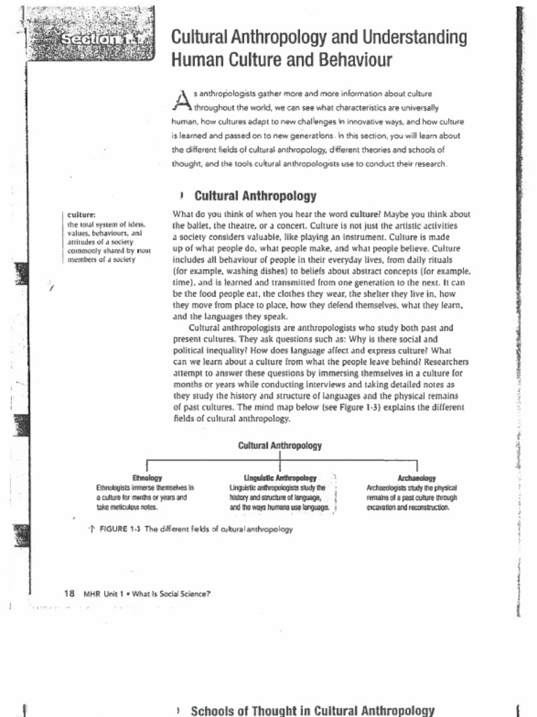 Understanding Cultural Anthropology Reading | PDF | Anthropology ...