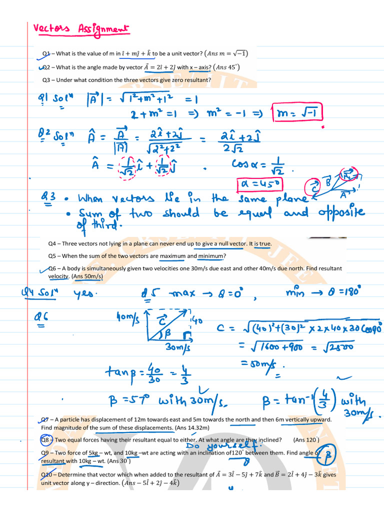Vectors Assignment | PDF