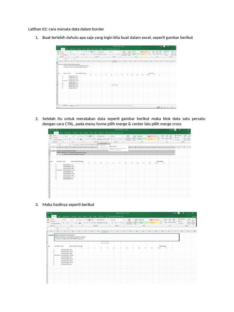 Panduan Menata Data Excel dengan Border | PDF