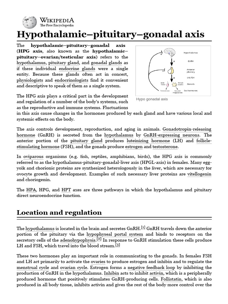 Understanding the HPG Axis | PDF | Menstrual Cycle | Luteinizing Hormone